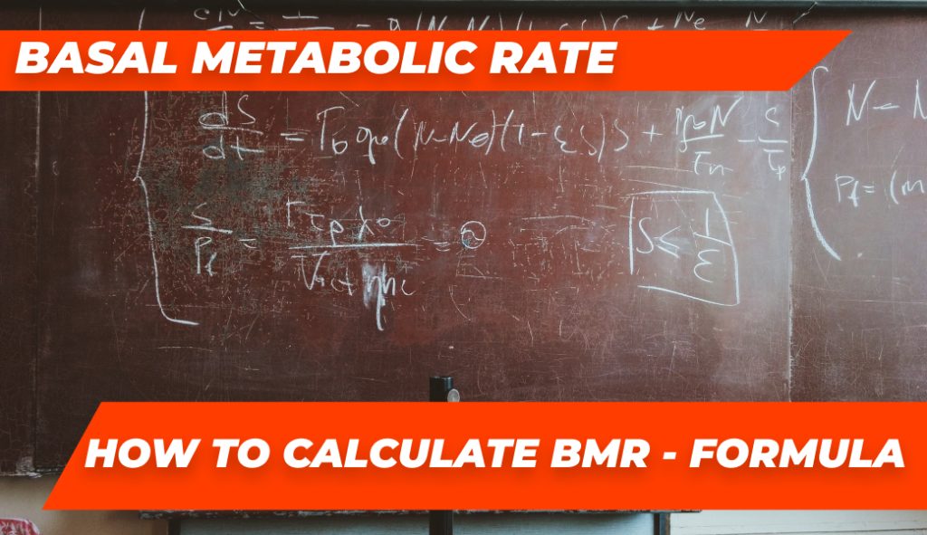 How to Calculate BMR – Basal Metabolic Rate? Formula attached – Roids101