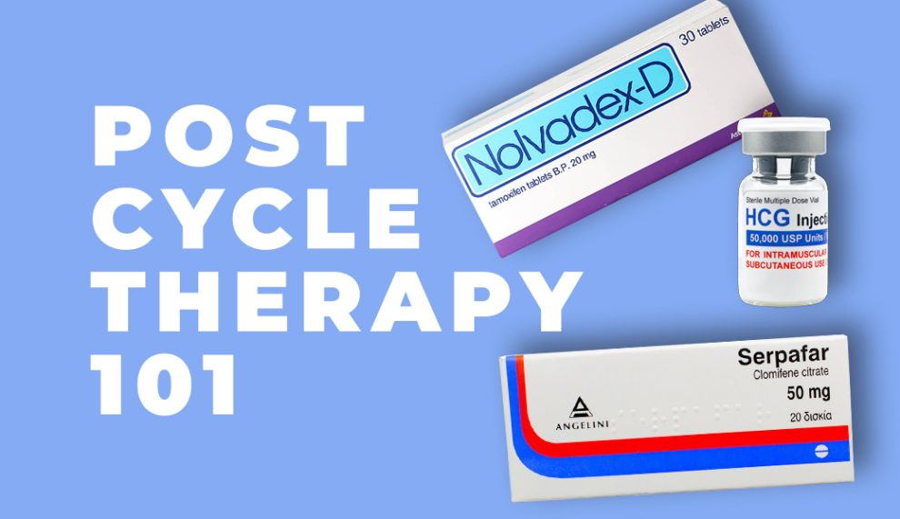 Post Cycle Therapy 101 – PCT Guide Nolvodex, Clomid & HCG in 2026 ...
